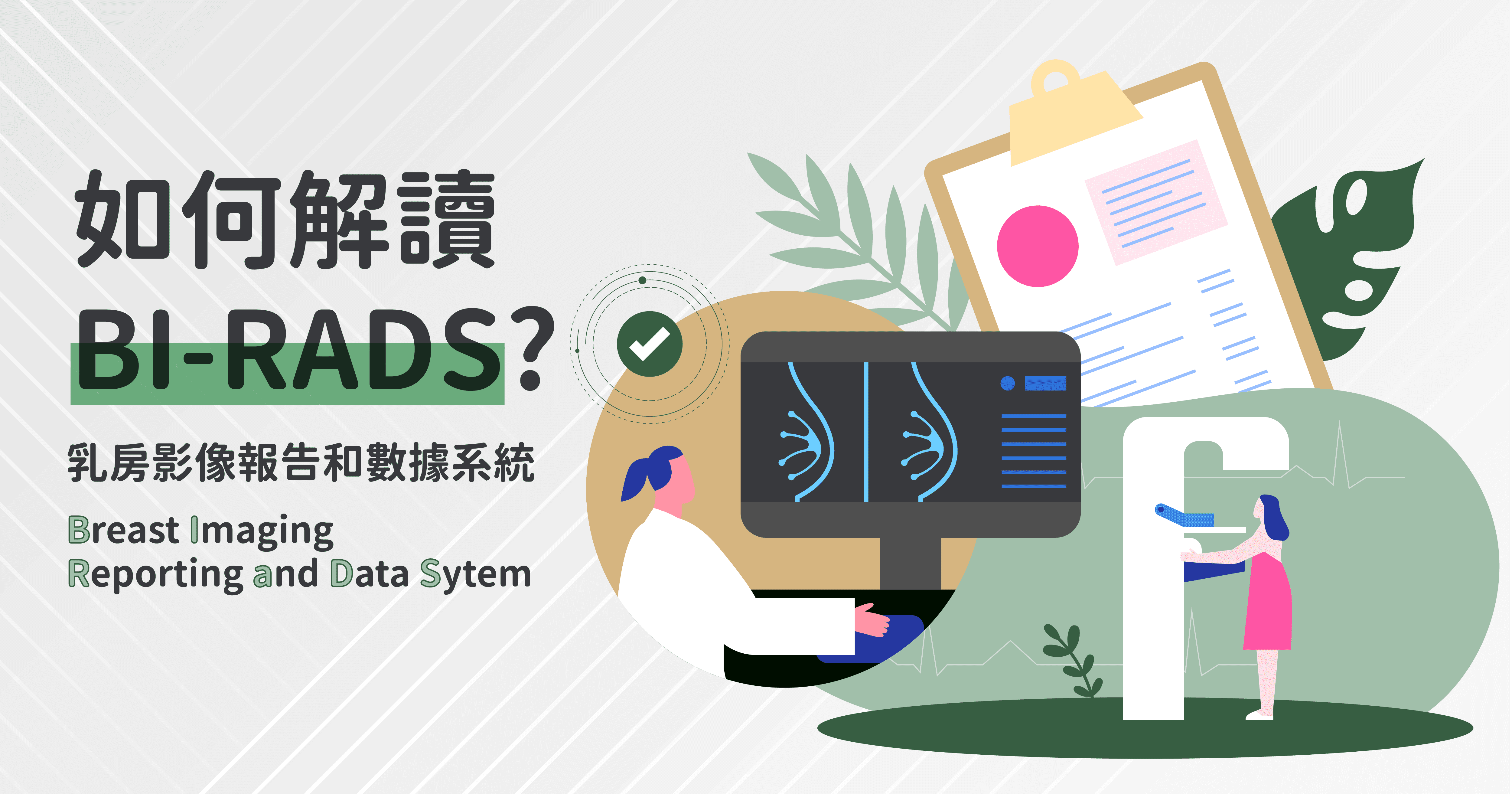 如何解讀BI-RADS? - 乳癌及預防檢查資訊站